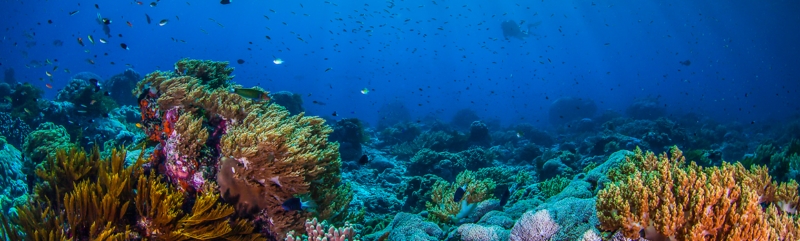 L'ectoine est une molécule- Ingrédient d’origine naturelle